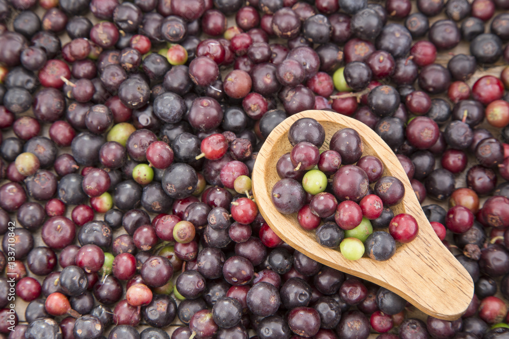 Foto de Stock Agráz tropical fruit (Vaccinium meridionale) | Adobe Stock