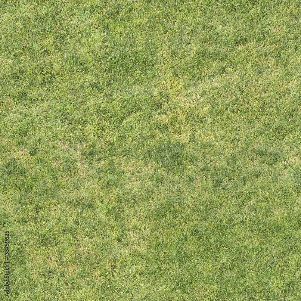 Foto de Stock lawn grass, seamless texture, pavement, tile horizontal ...