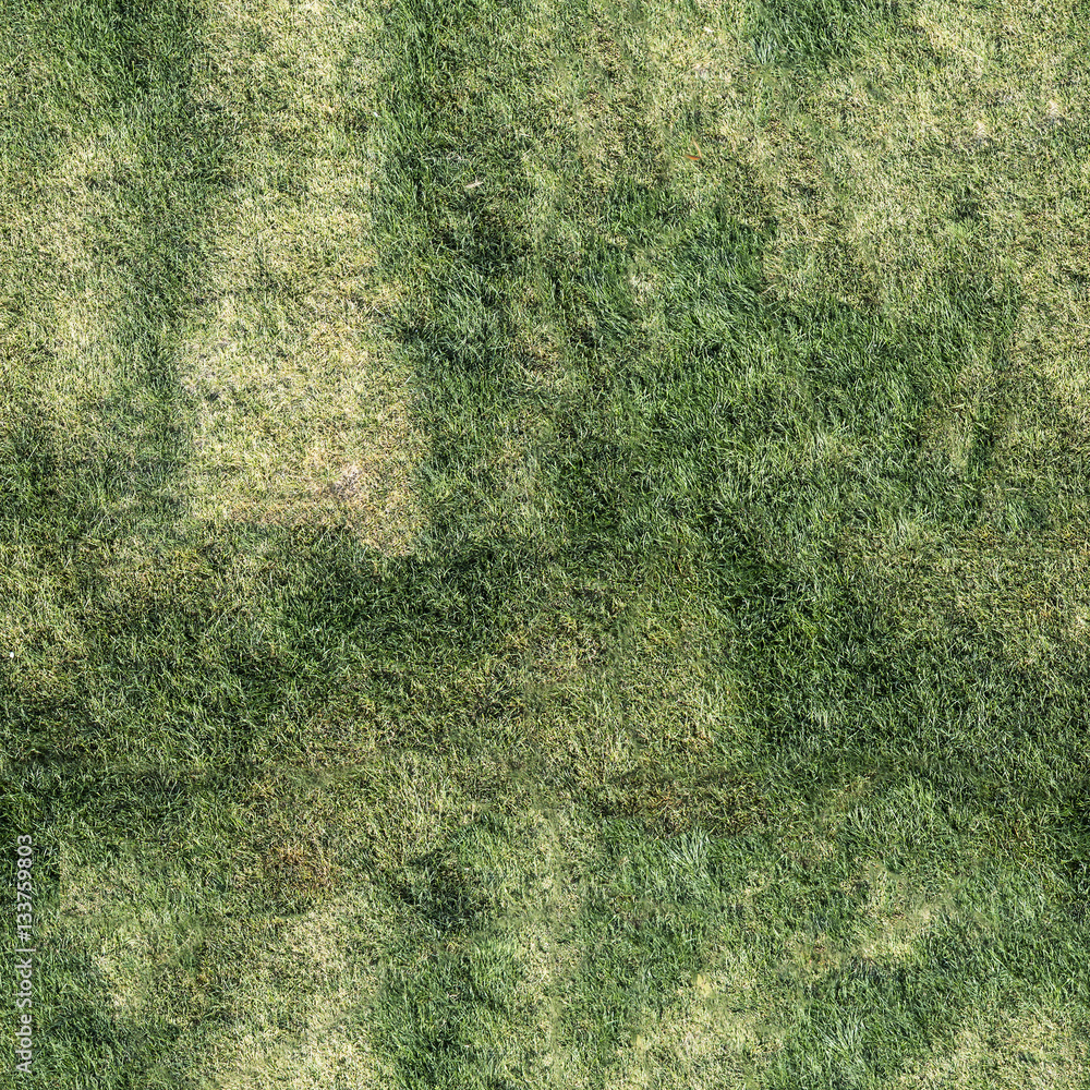 lawn grass, seamless texture, pavement, tile horizontal and vertical ...