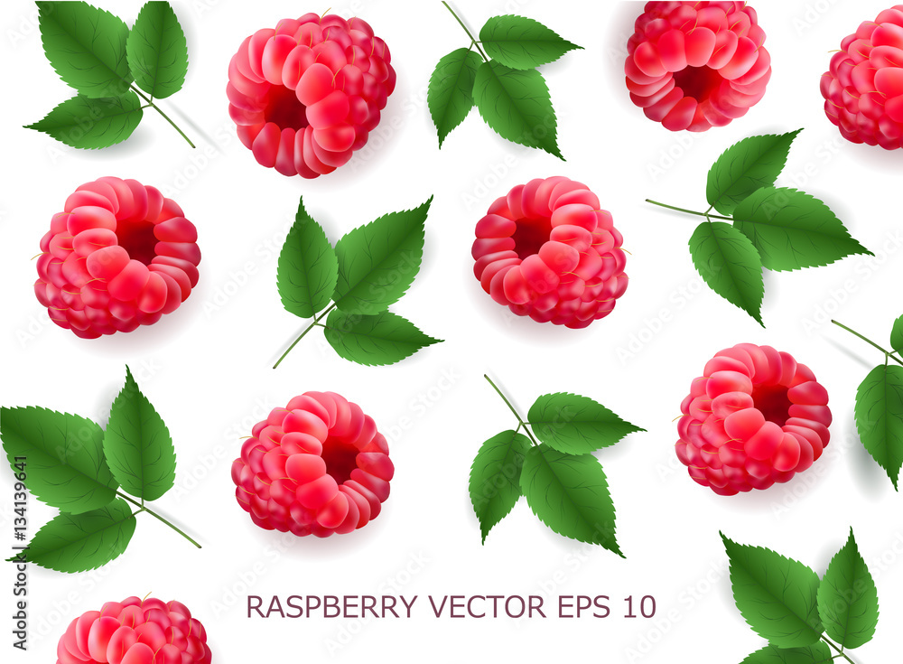Vector realistic volumetric 3d raspberry with leaves pattern Stock ...