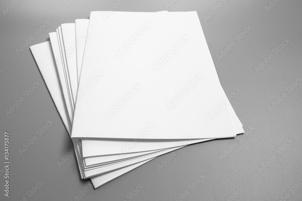 Blank portrait A4. brochure magazine isolated on gray, changeable ...