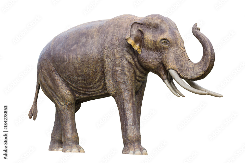 Stegolophodon. four ivory extinct primitive elephant isolated on white ...