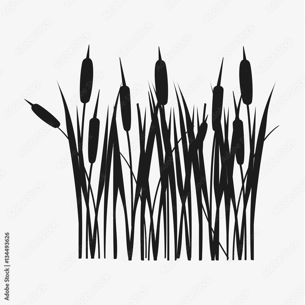 Reed grass black silhouette Stock Vector | Adobe Stock
