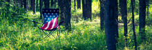 American Flag In Forest Free Stock Photo - Public Domain Pictures