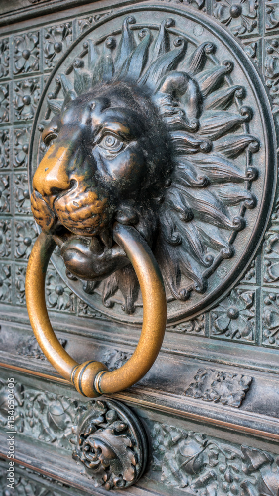 Bronze knocker in the shape of a lion's head at the gate of the Cologne ...