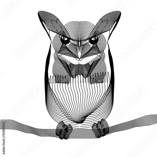 Owl x-ray stylized illustration on an isolated background - Buy this ...