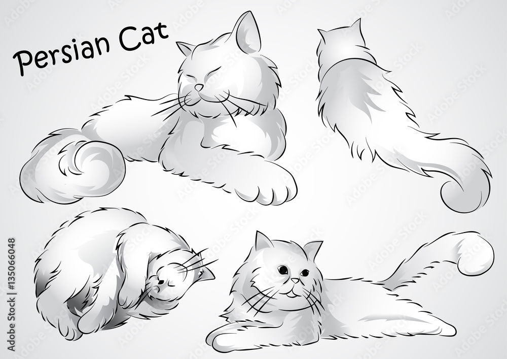 Hand draw of Persian cat black and white set in several post such as ...