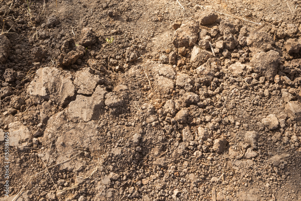 The dry summer soil water deficit impact of El Nino, La Nina., thailand ...