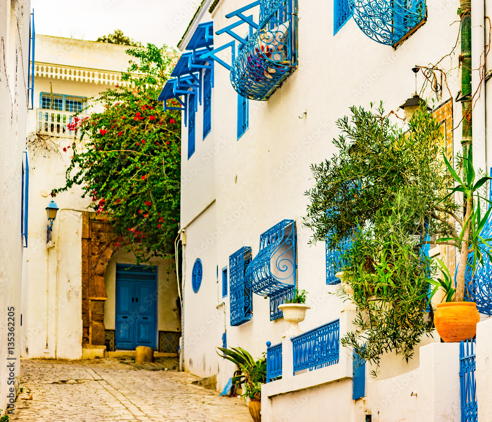 Sidi Bou Said, famouse village with traditional tunisian architecture ...