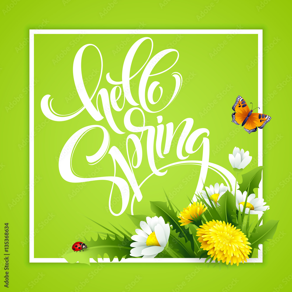 Inscription Hello Spring Hand Lettering on background with flowers ...