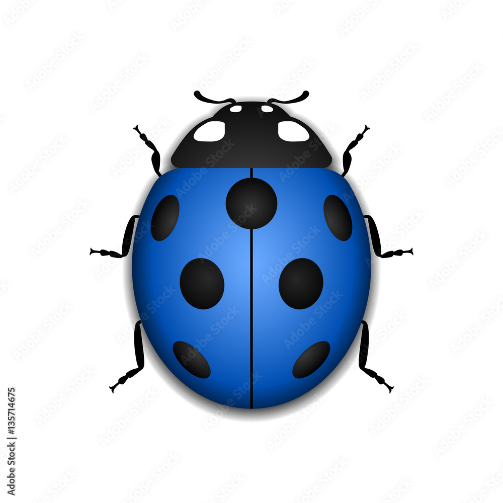 Ladybug small icon. Blue lady bug sign, isolated on white background ...