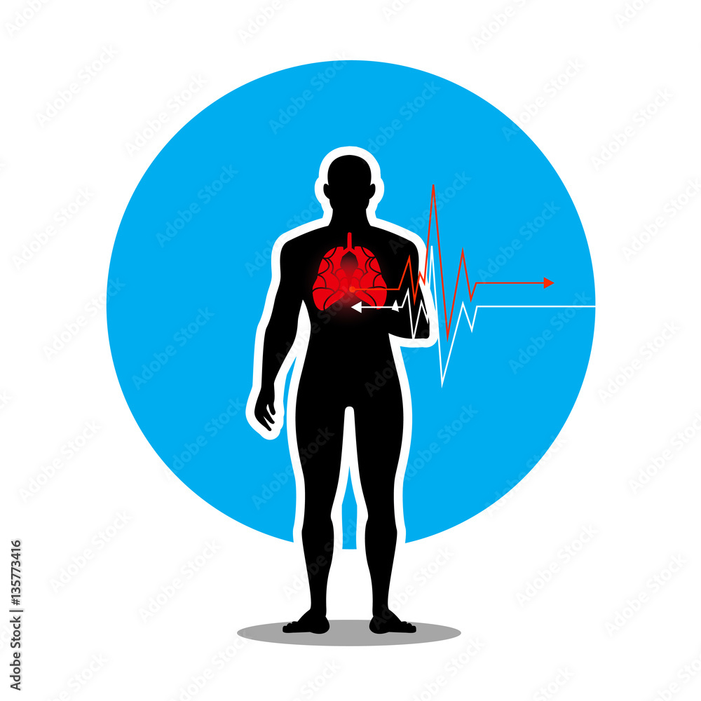 Human silhouette and abstract lung, cardiogram Isolated on white Stock ...