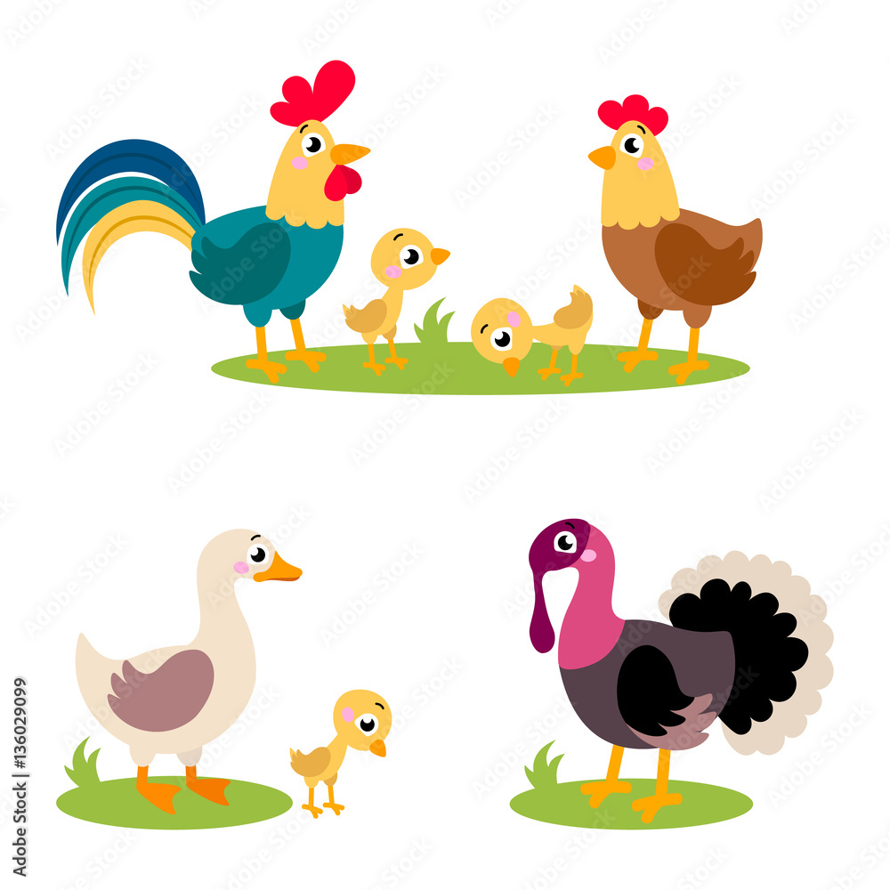 Set of popular colorful vector farm birds. Cute farm birds: rooster ...