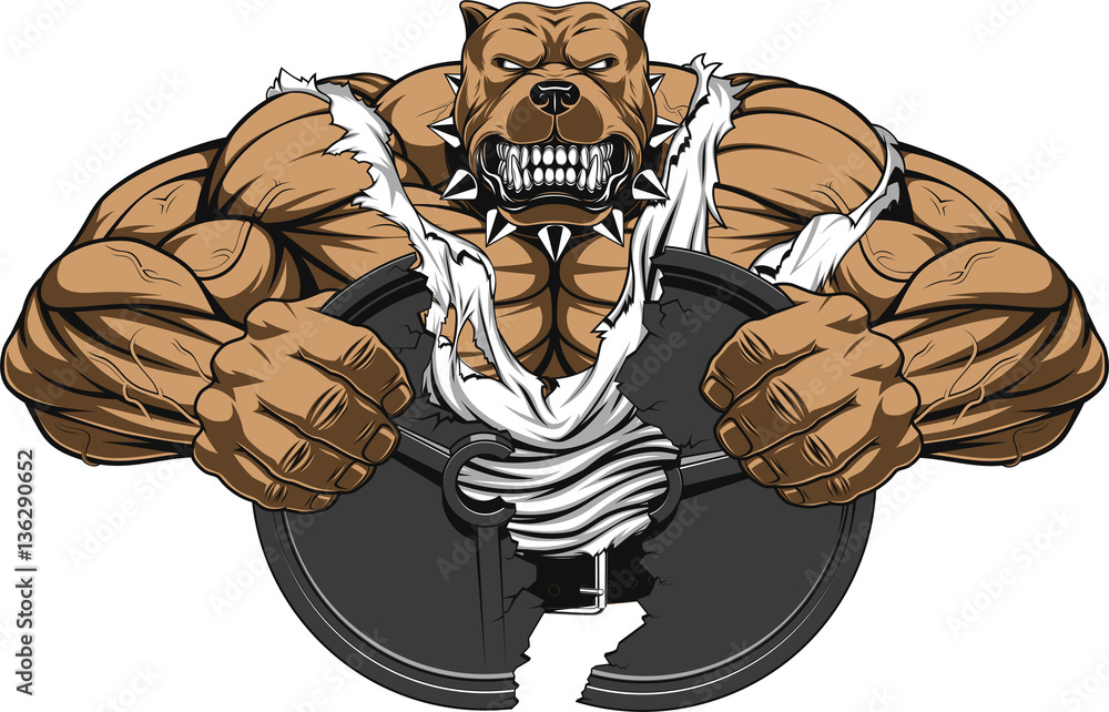 Angry dog bodybuilder Stock Vector | Adobe Stock