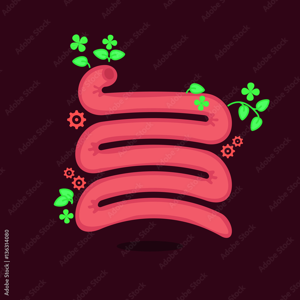 Small intestine vector illustration Stock Vector | Adobe Stock
