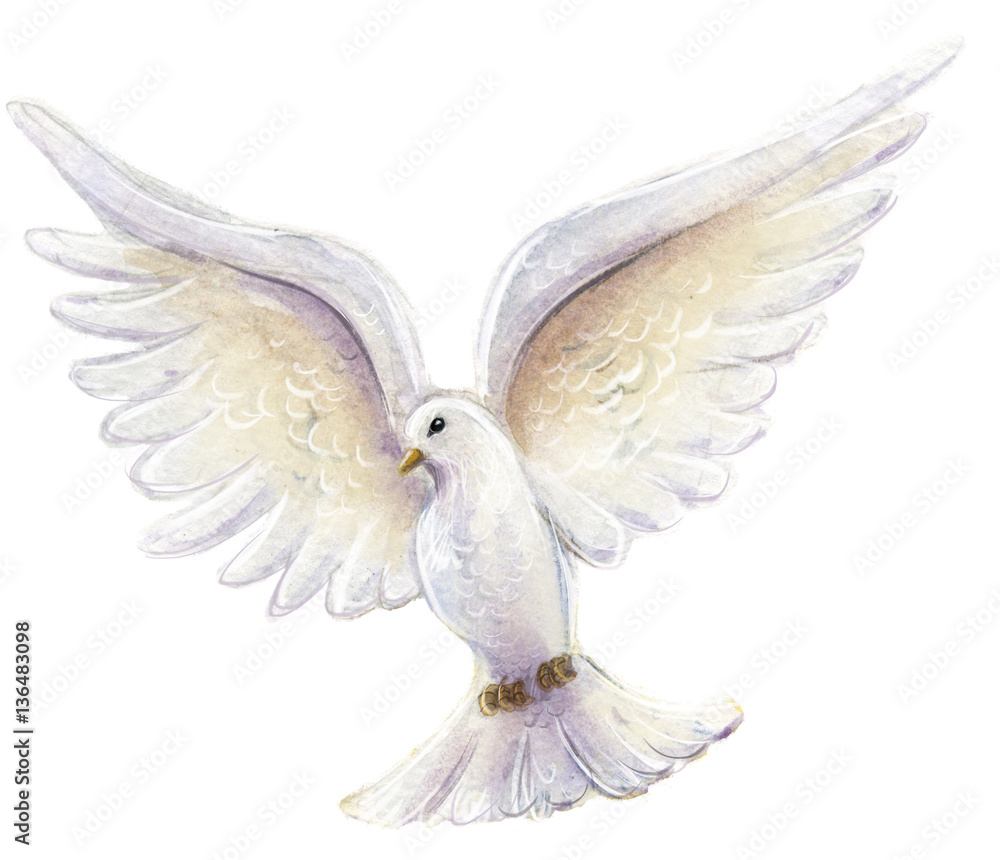 Paloma Volando Clipart Diseño PNG Y SVG De Paloma Volando Alas Para