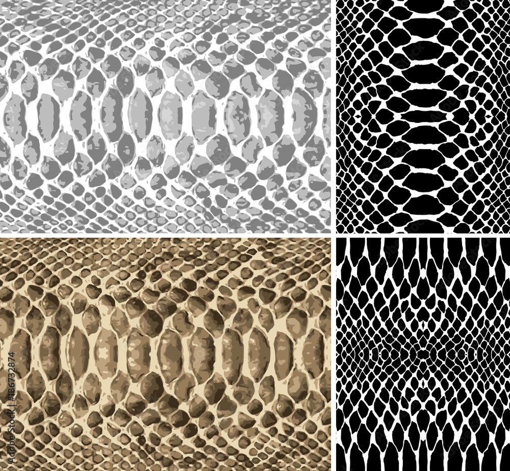 Snake skin. vector Stock Vector | Adobe Stock