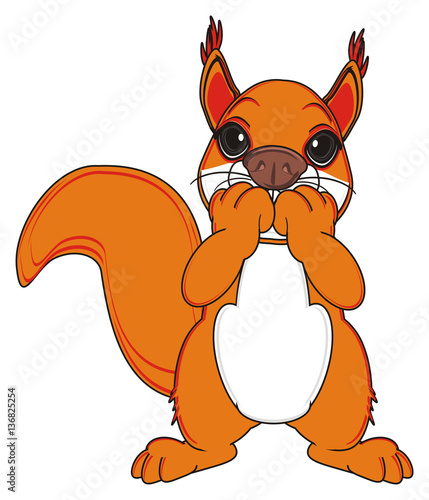 stand, paws, closed mouth, squirrel, animal, cartoon, orange, tail ...