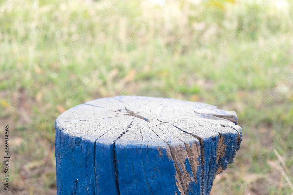 blue crack stump/timber in the playground of school. with blur b Stock ...