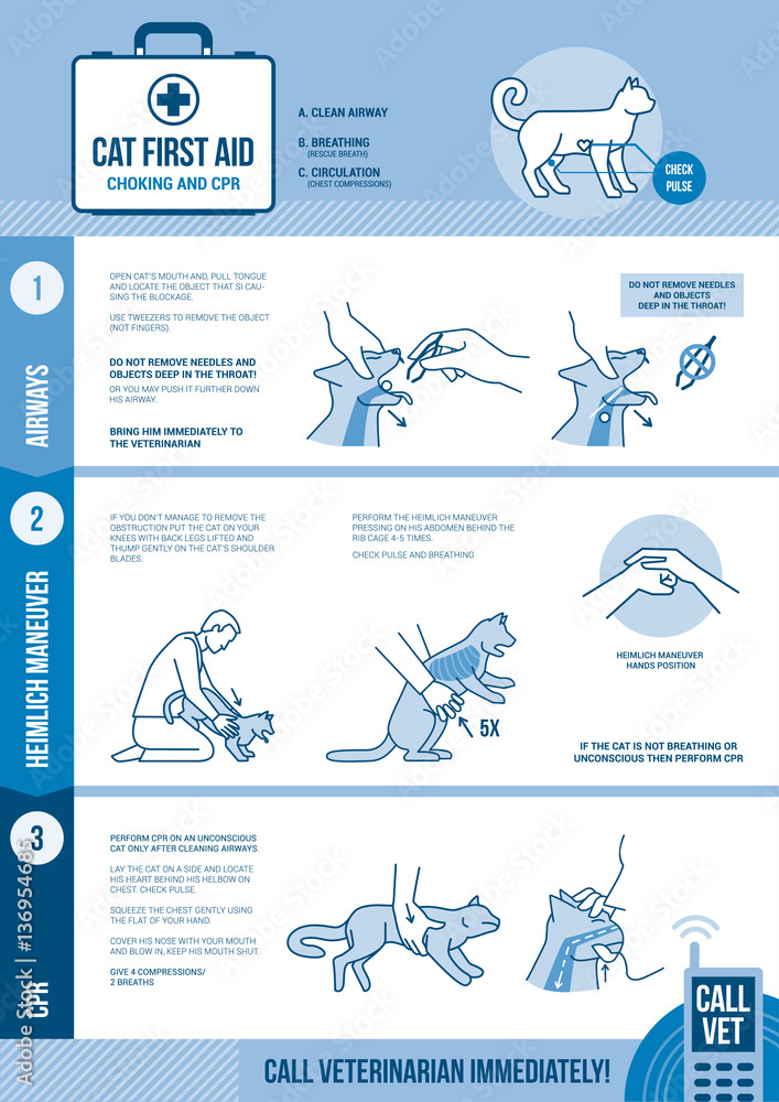 Cat and small animals cpr and first aid for choking and reanimation ...