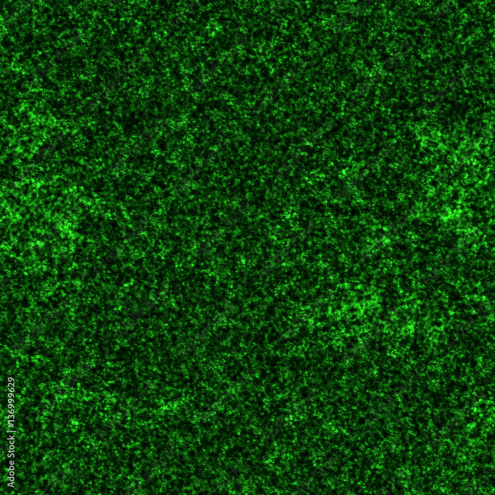 Seamless emerald forest moss pattern Stock Illustration | Adobe Stock