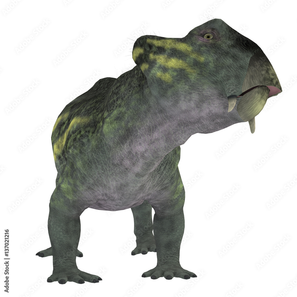 Lytrosaurus Dinosaur on White - Lystrosaurus was a dicynodont therapsid ...