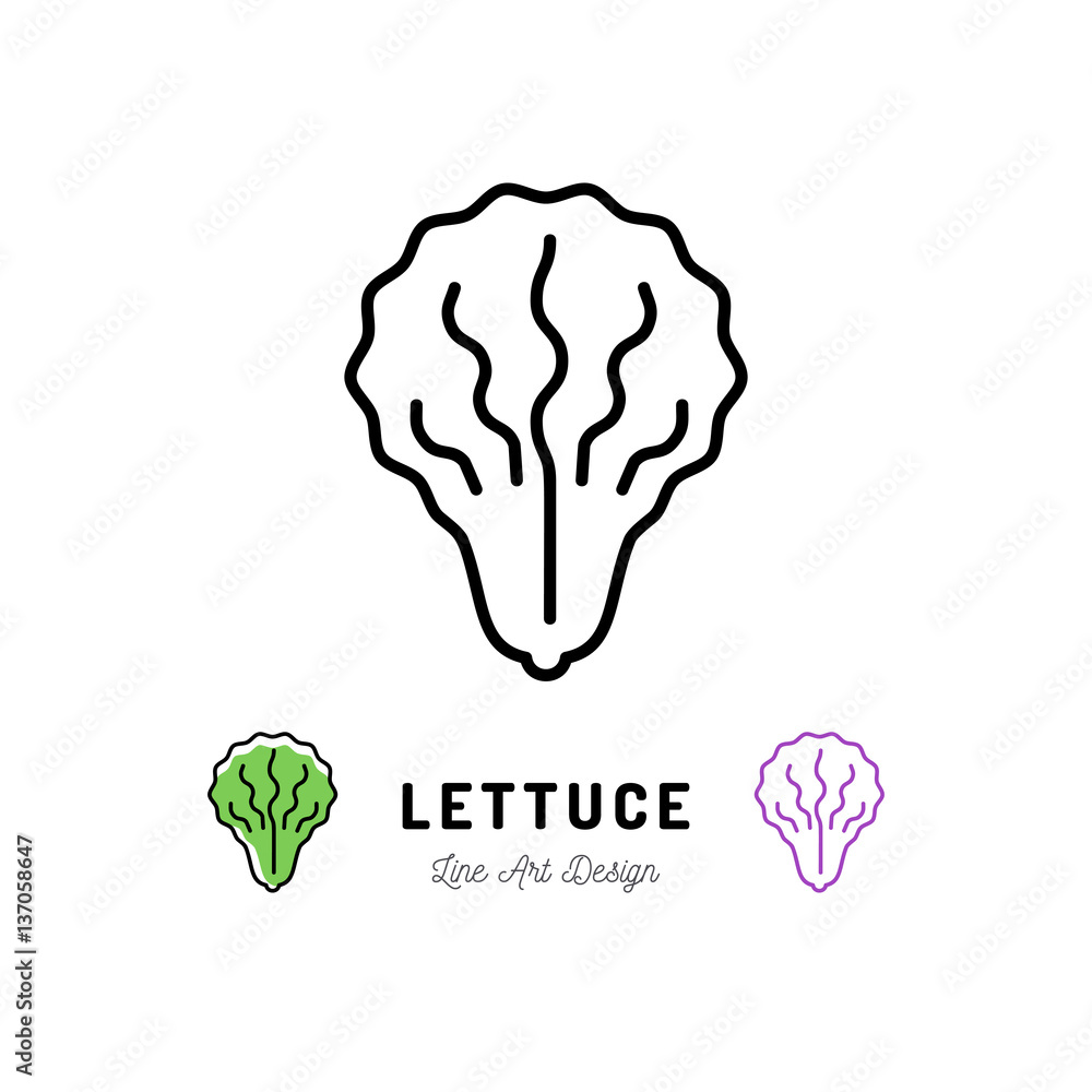 Vector Lettuce icon Vegetables logo. Thin line art design, outline ...