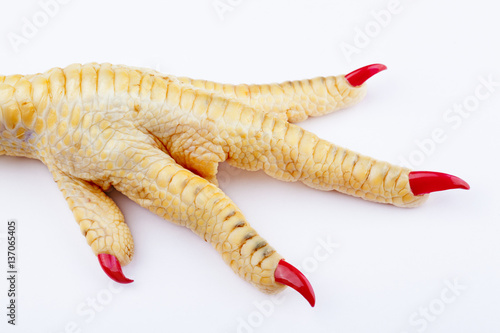 Pata de pollo con uñas pintadas Stock Photo | Adobe Stock