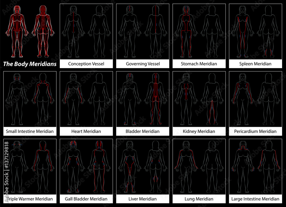 Body meridians of a woman - Detailed diagram with main acupuncture ...