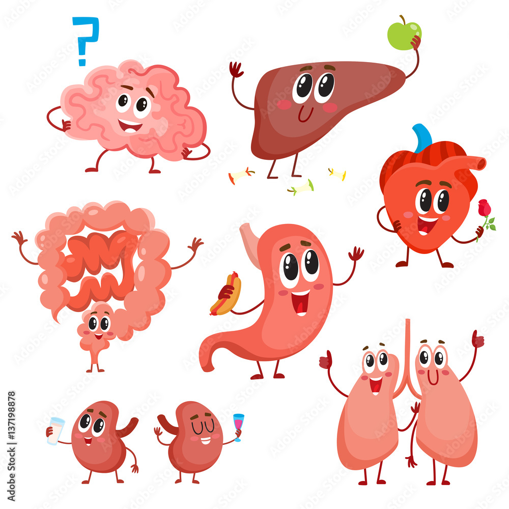 Set of cute and funny healthy human organ characters - heart, lungs ...