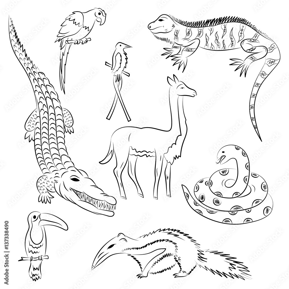 Hand Drawn Animals of South America. Doodle Drawings of Iguana ...