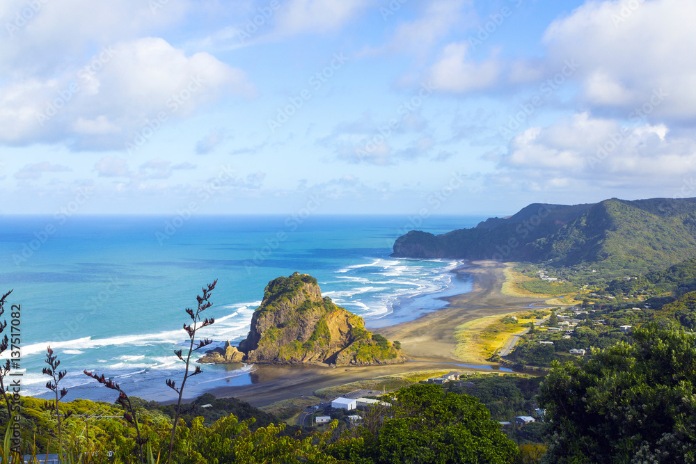 Lion Rock at Piha Beach Auckland New Zealand Stock Photo | Adobe Stock