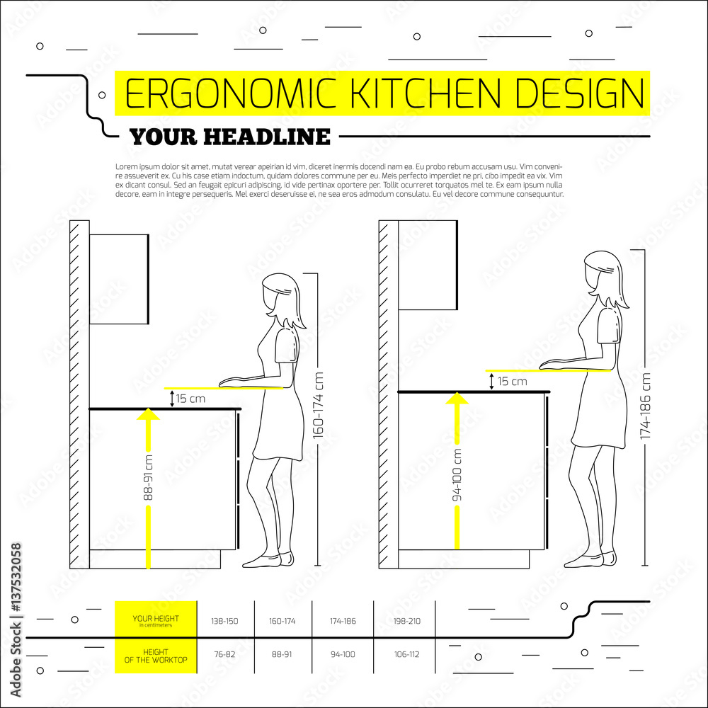 Infographics: ergonomics kitchen design. Vector illustration in line ...