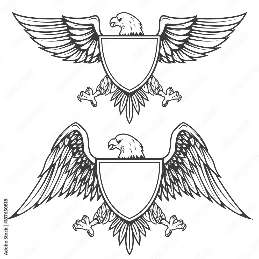 Eagle with shield isolated on white background. Design element for ...