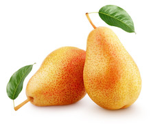 Blushing Pears Free Stock Photo - Public Domain Pictures