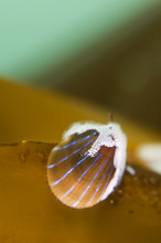 Blue Ray Free Stock Photo - Public Domain Pictures