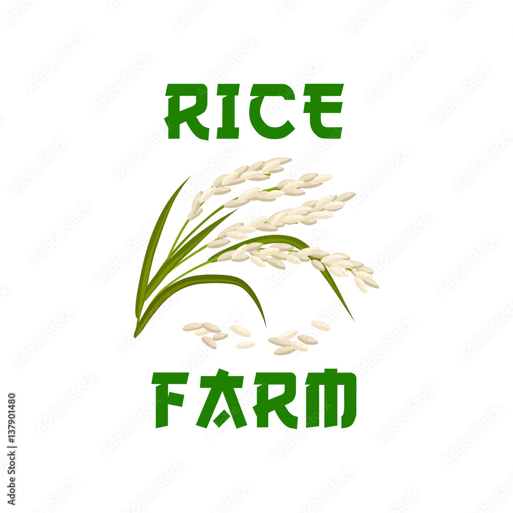 Rice plant vector poster or emblem Stock Vector | Adobe Stock