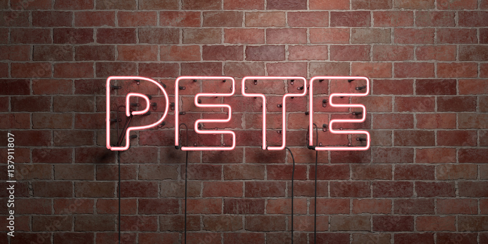PETE - fluorescent Neon tube Sign on brickwork - Front view - 3D ...