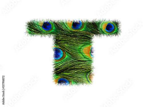 High resolution upper case letter T made of peacock feathers alphabet ...