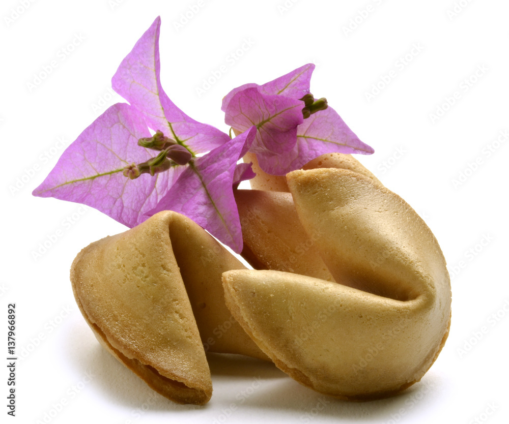 Galleta de la suerte Fortune cookie Glückskeks Biscotto della fortuna ...