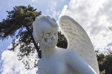 Background Wallpaper Free Stock Photo - Public Domain Pictures