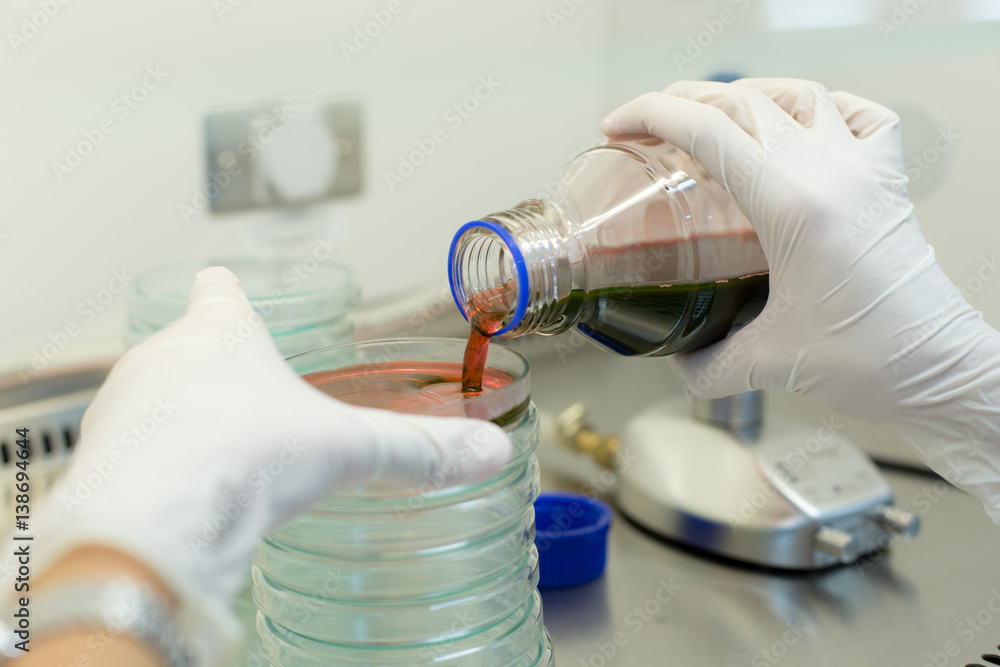 Eosin Methylene Blue (EMB) Agar for culture medium for Inoculum tests ...