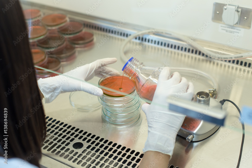 Eosin Methylene Blue (EMB) Agar for culture medium for Inoculum tests ...