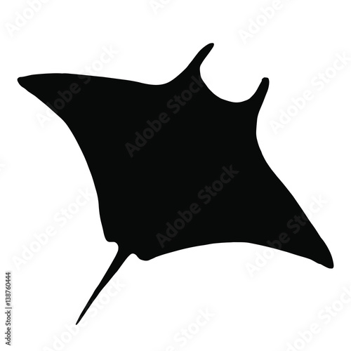 Vector stingray silhouette, ray fish illustration. Animal in the wild ...