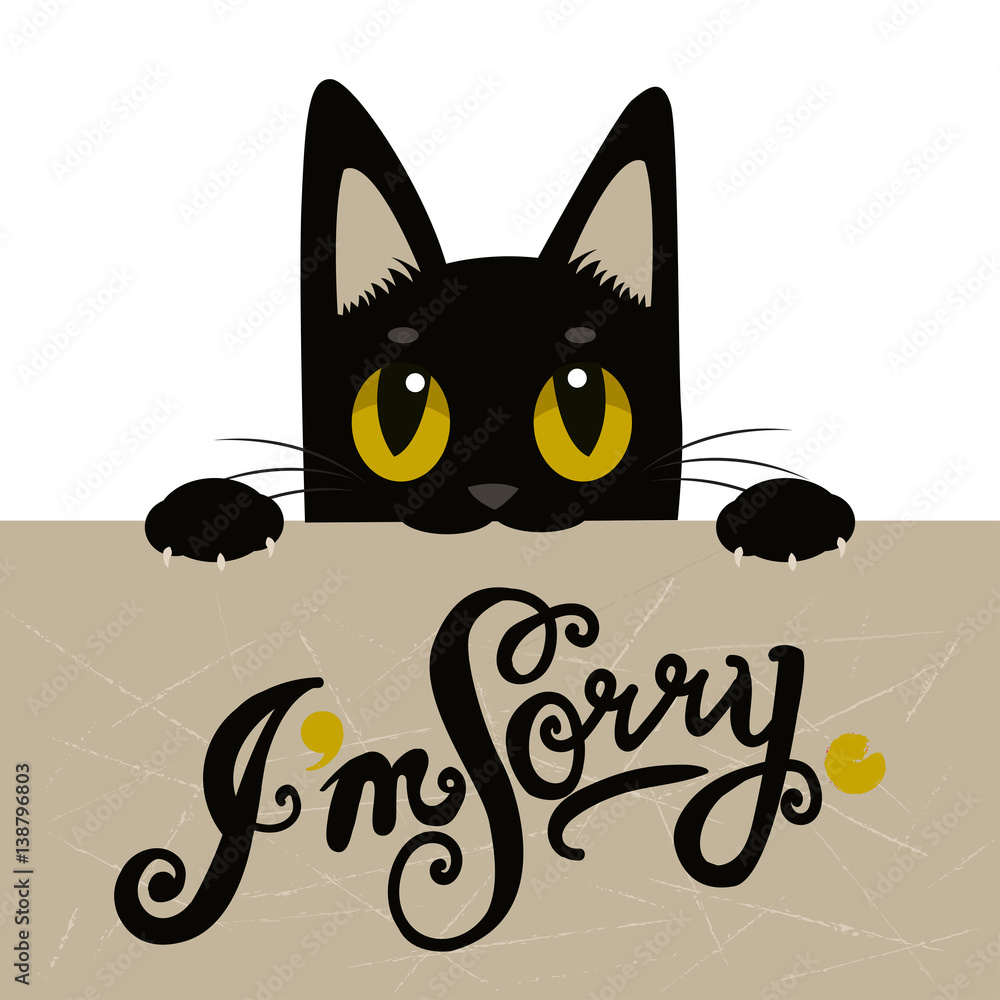 Cute Black Cat Holding A Message Board With The Text I'm Sorry ...