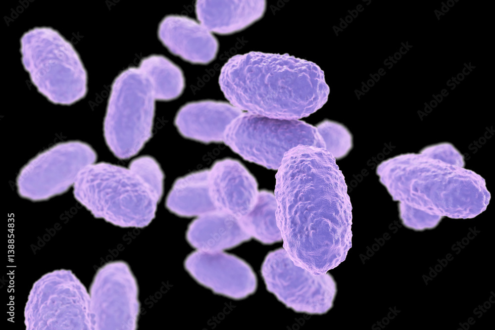Bacteria Bordetella pertussis isolated on black background, 3D ...