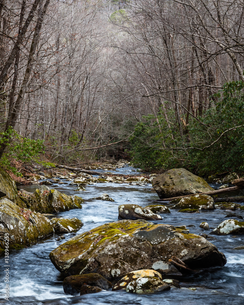 "Back Woods" The Tellico River starts its journey in the Unicoi ...