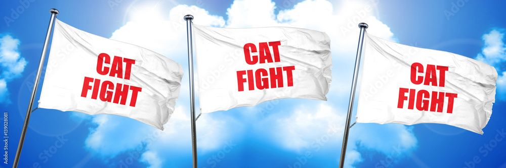 cat fight, 3D rendering, triple flags Stock Illustration | Adobe Stock