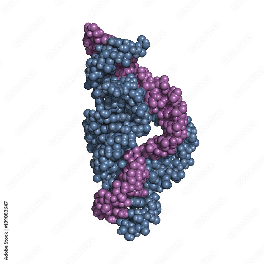 Hammerhead ribozyme is an RNA molecule that catalyzes targeted RNA ...
