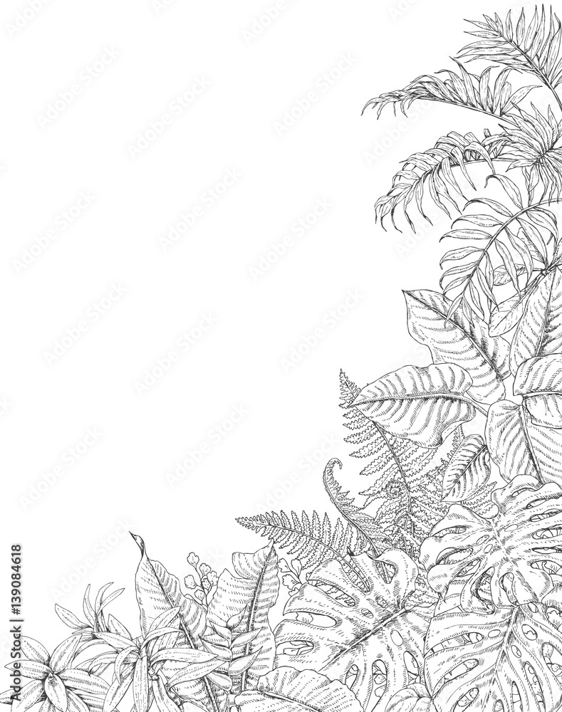 Tropical Plants Corner Background Stock Vector | Adobe Stock